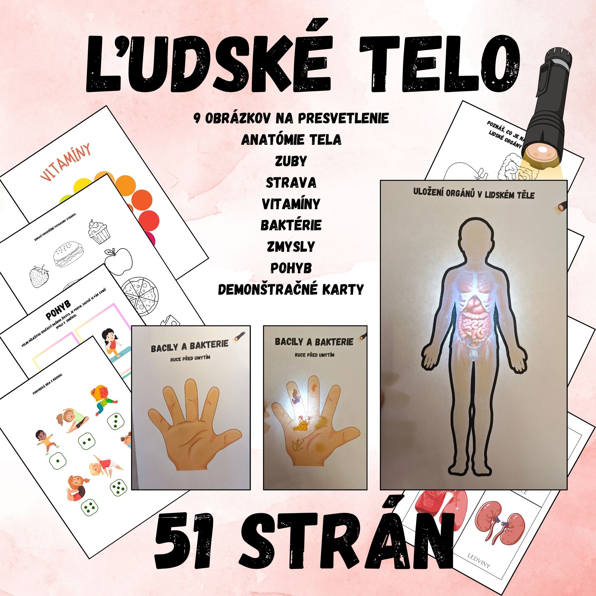 Ľudské telo - Prvouka | UčiteliaUčiteľom.sk