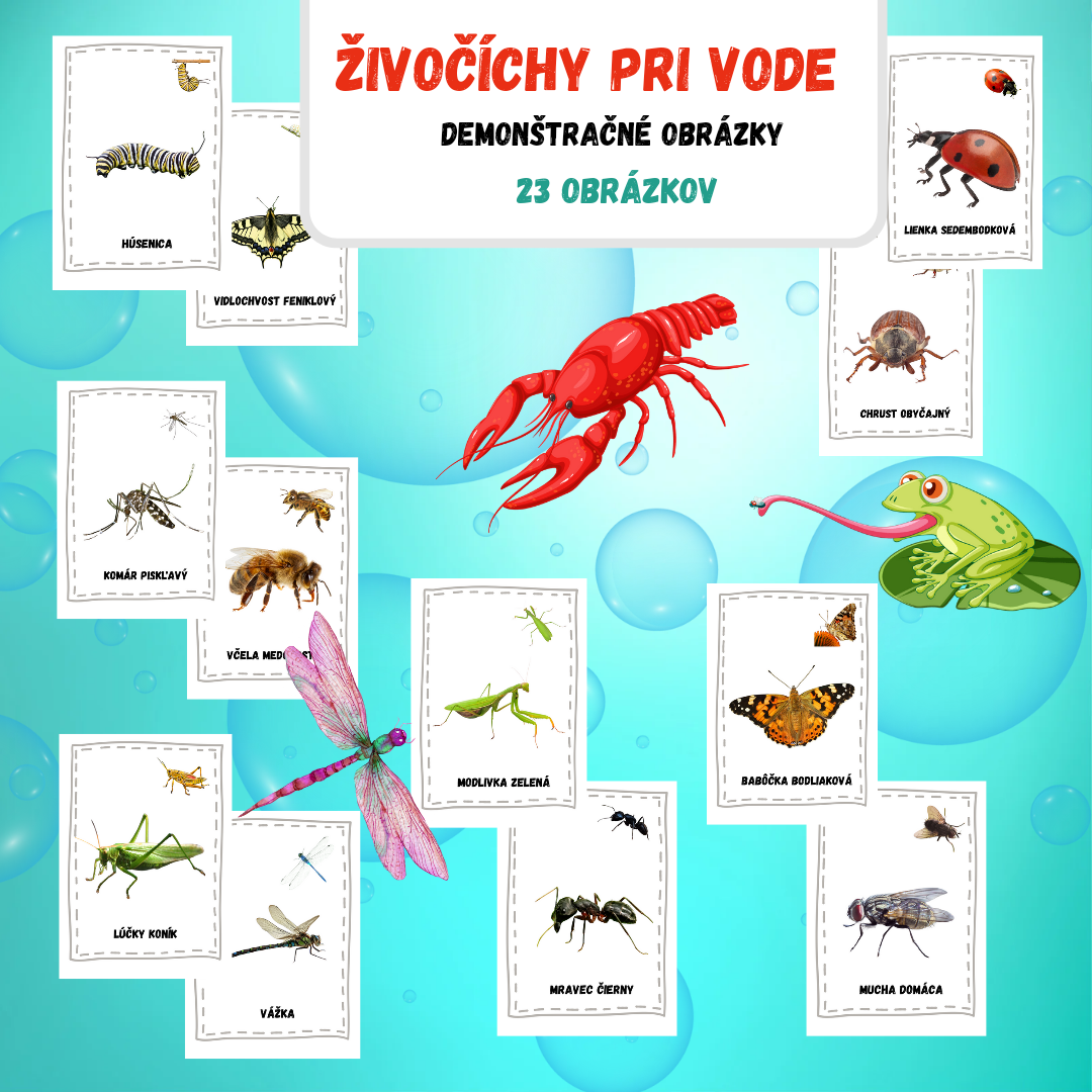 Demonštračné obrázky- Živočíchy pri vode - Nepriradené k predmetu ...