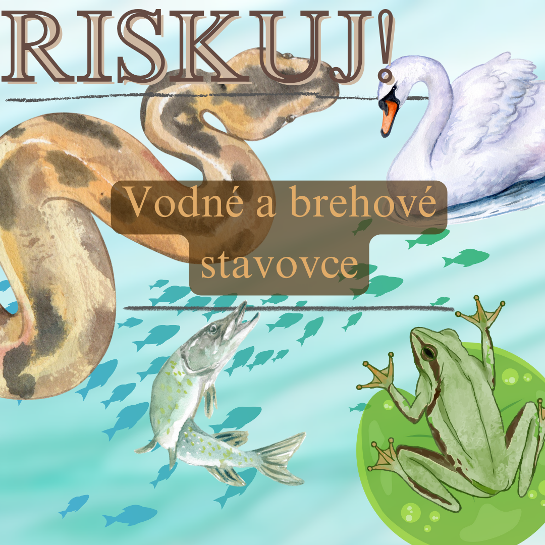 RISKUJ! - Vodné a brehové stavovce - Biológia | UčiteliaUčiteľom.sk