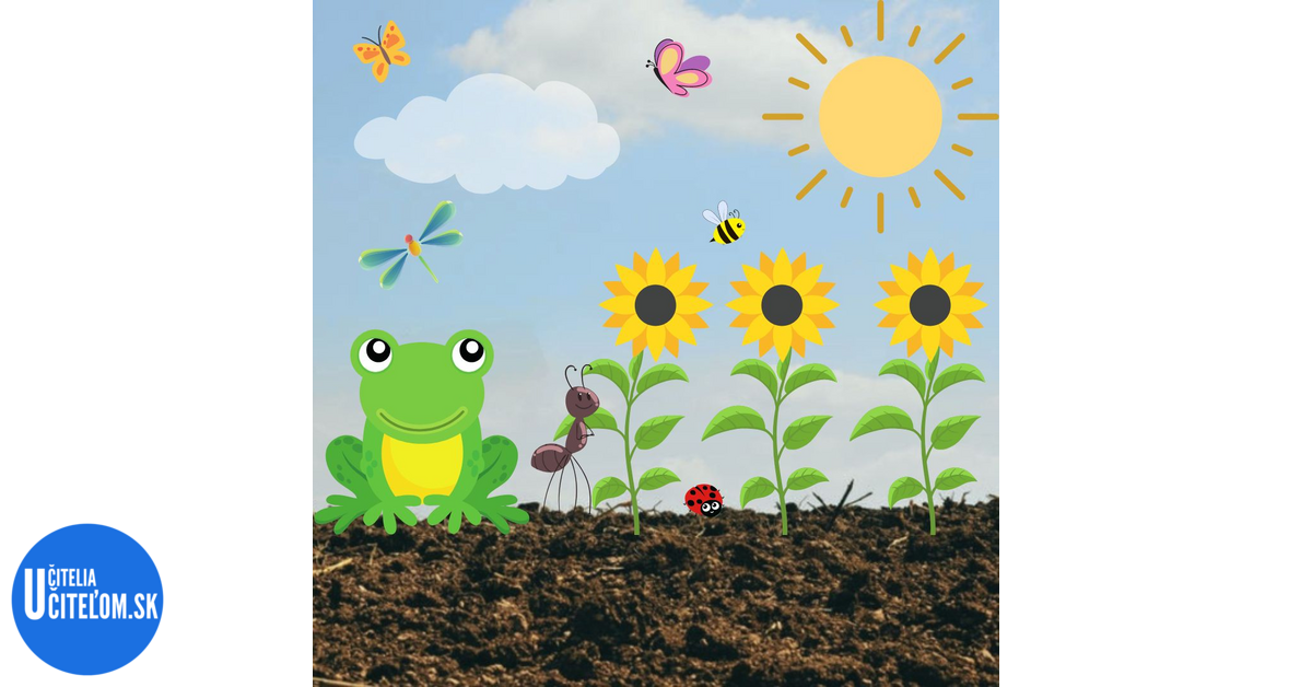 Ako rastie semienko - Prírodoveda | UčiteliaUčiteľom.sk