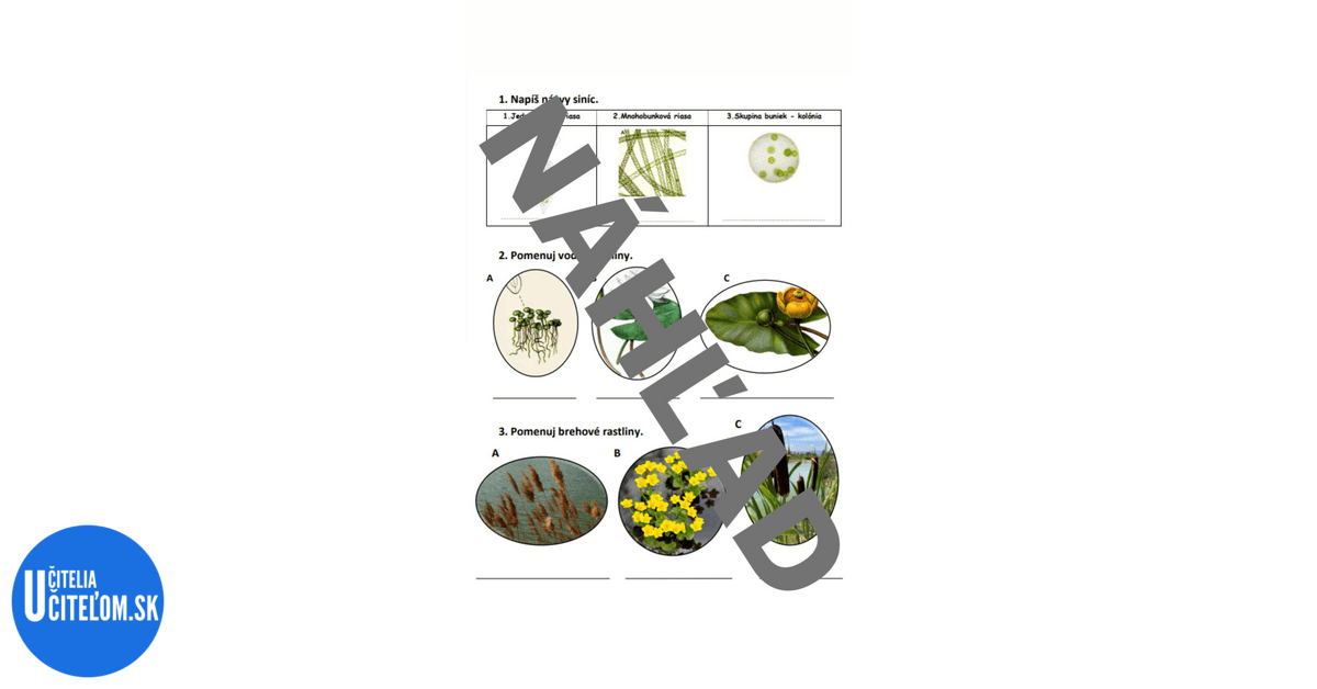 Opakovanie vodných rastlín a živočíchov - pracovný list - Biológia ...