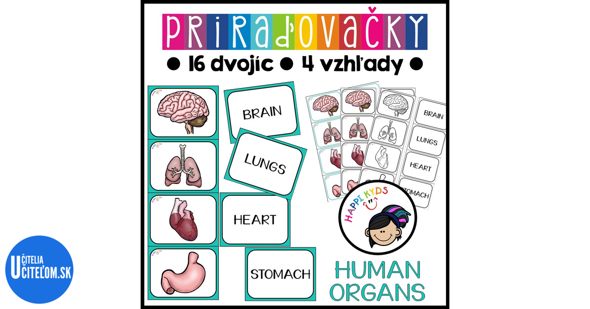 Priraďovačky - HUMAN ORGANS - Anglický jazyk | UčiteliaUčiteľom.sk