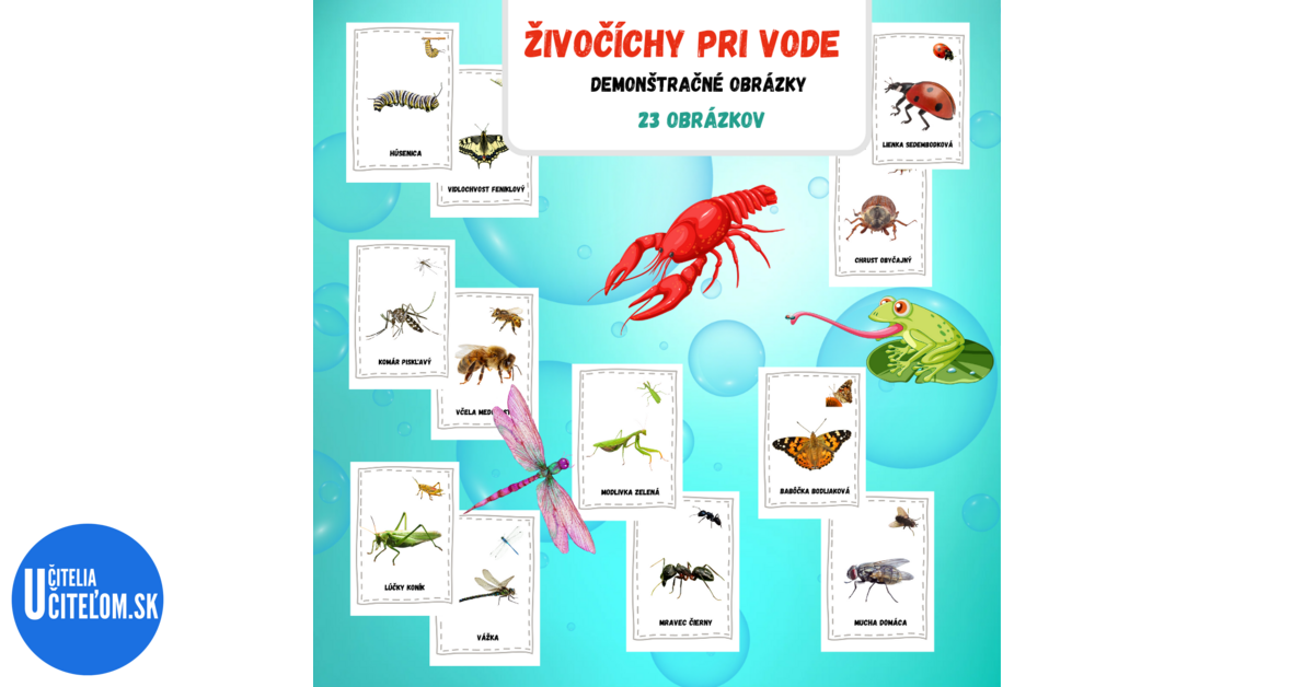 Demonštračné obrázky- Živočíchy pri vode - Nepriradené k predmetu ...