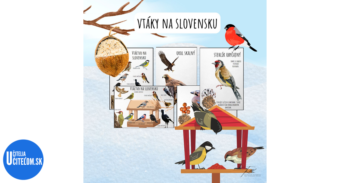 Vtáci v zime, Vtáky na Slovensku, Dravé vtáky na Slovensku, Dravci ...