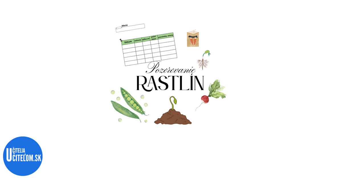 Pozorovací hárok - rast rastlín - Biológia | UčiteliaUčiteľom.sk