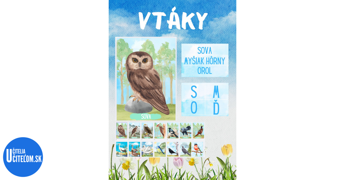 VTÁKY - Prvouka | UčiteliaUčiteľom.sk