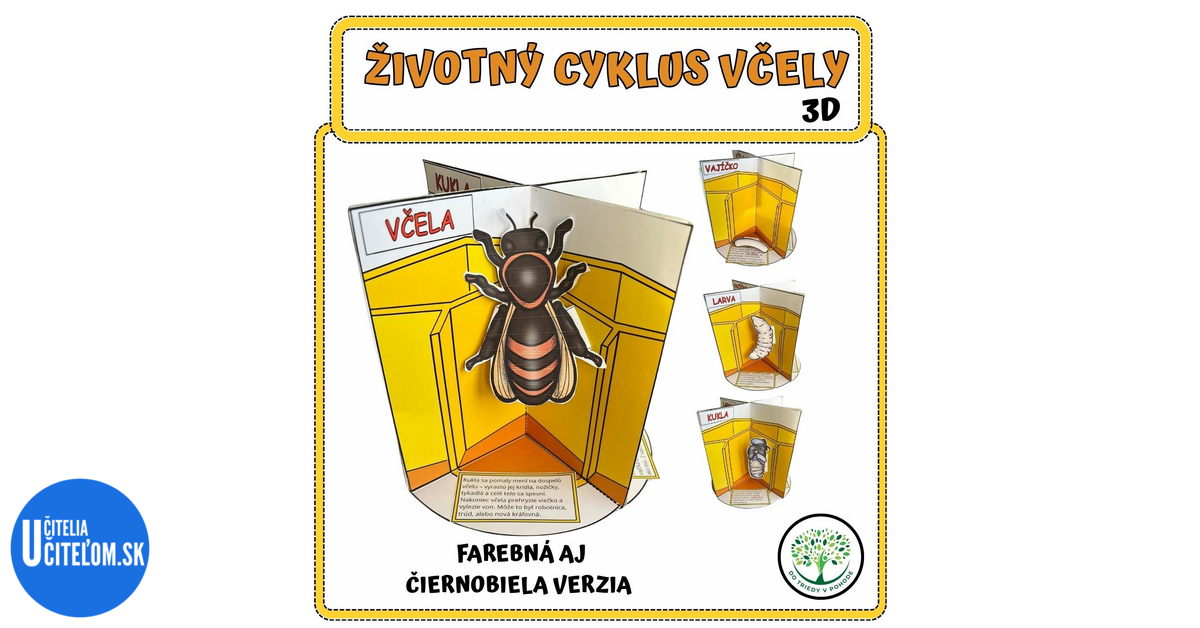 ŽIVOTNÝ CYKLUS VČELY - 3D SKLADAČKA - Prírodoveda | UčiteliaUčiteľom.sk
