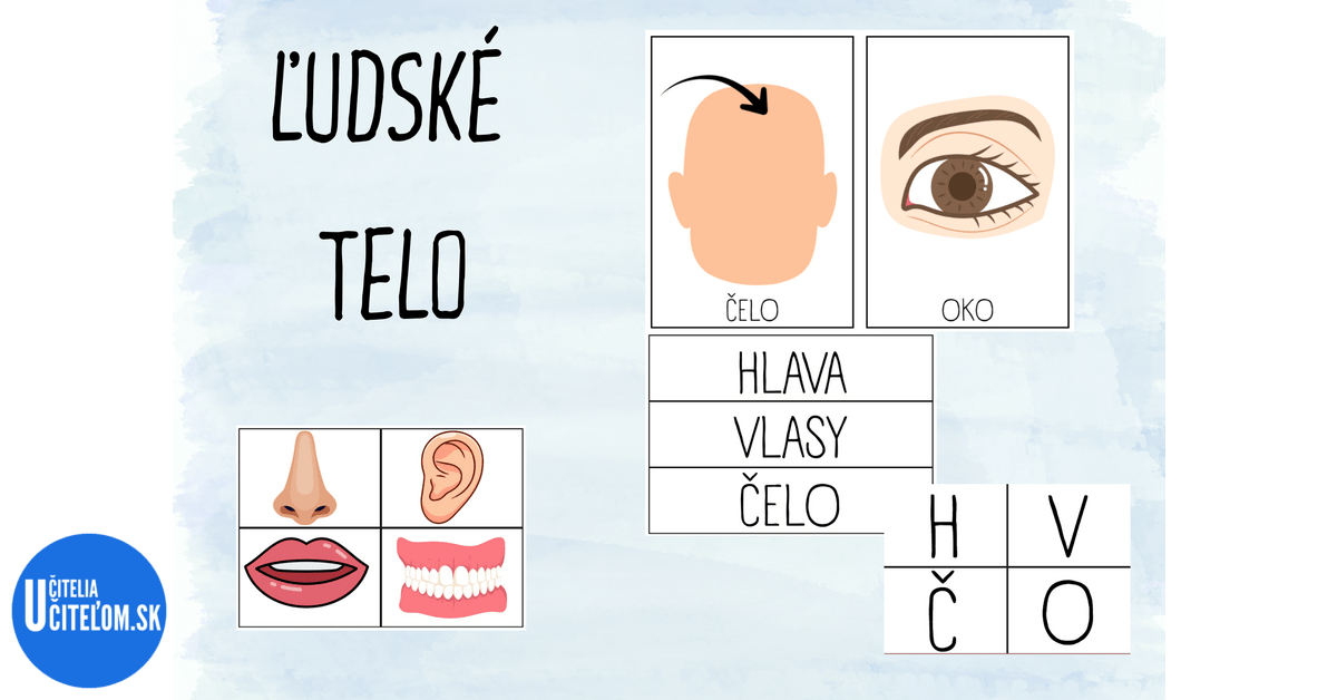 ĽUDSKÉ TELO - Biológia | UčiteliaUčiteľom.sk